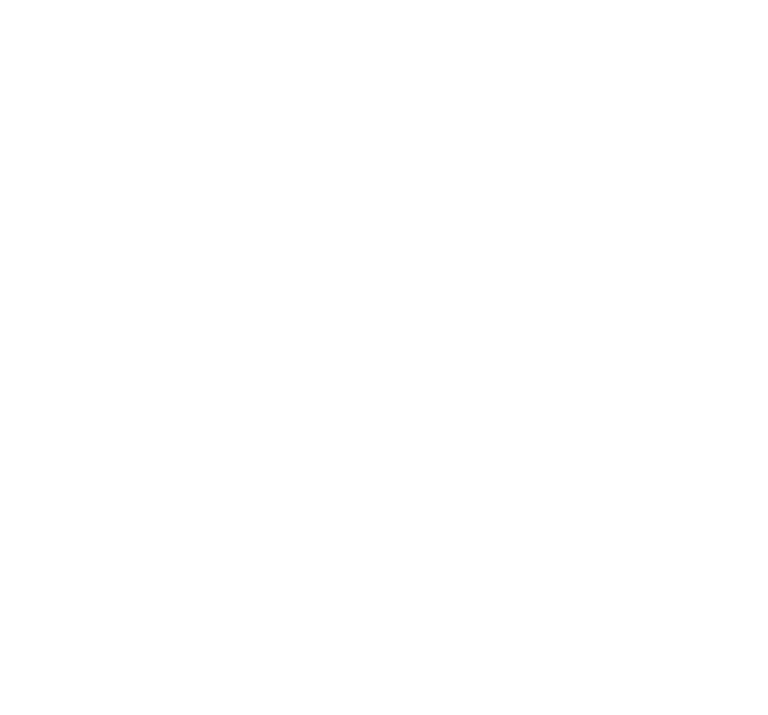 5i Assessment - Novus Global